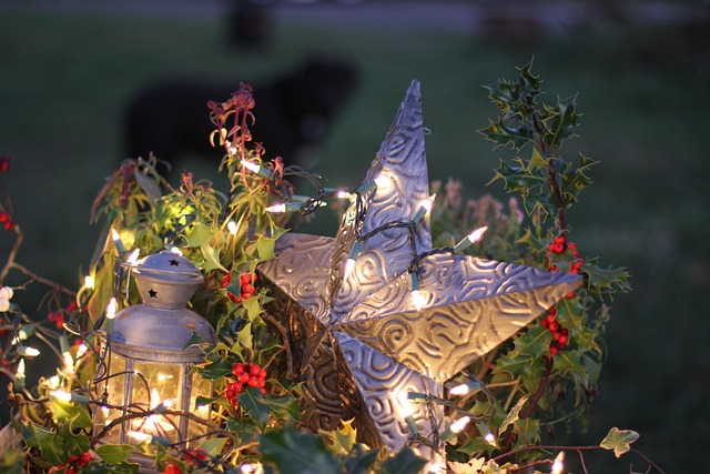 Weihnachten Stern Advent - Kostenloses Foto auf Pixabay - Pixabay