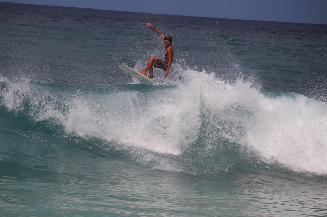 Surfer Waves Surf - Free photo on Pixabay - Pixabay