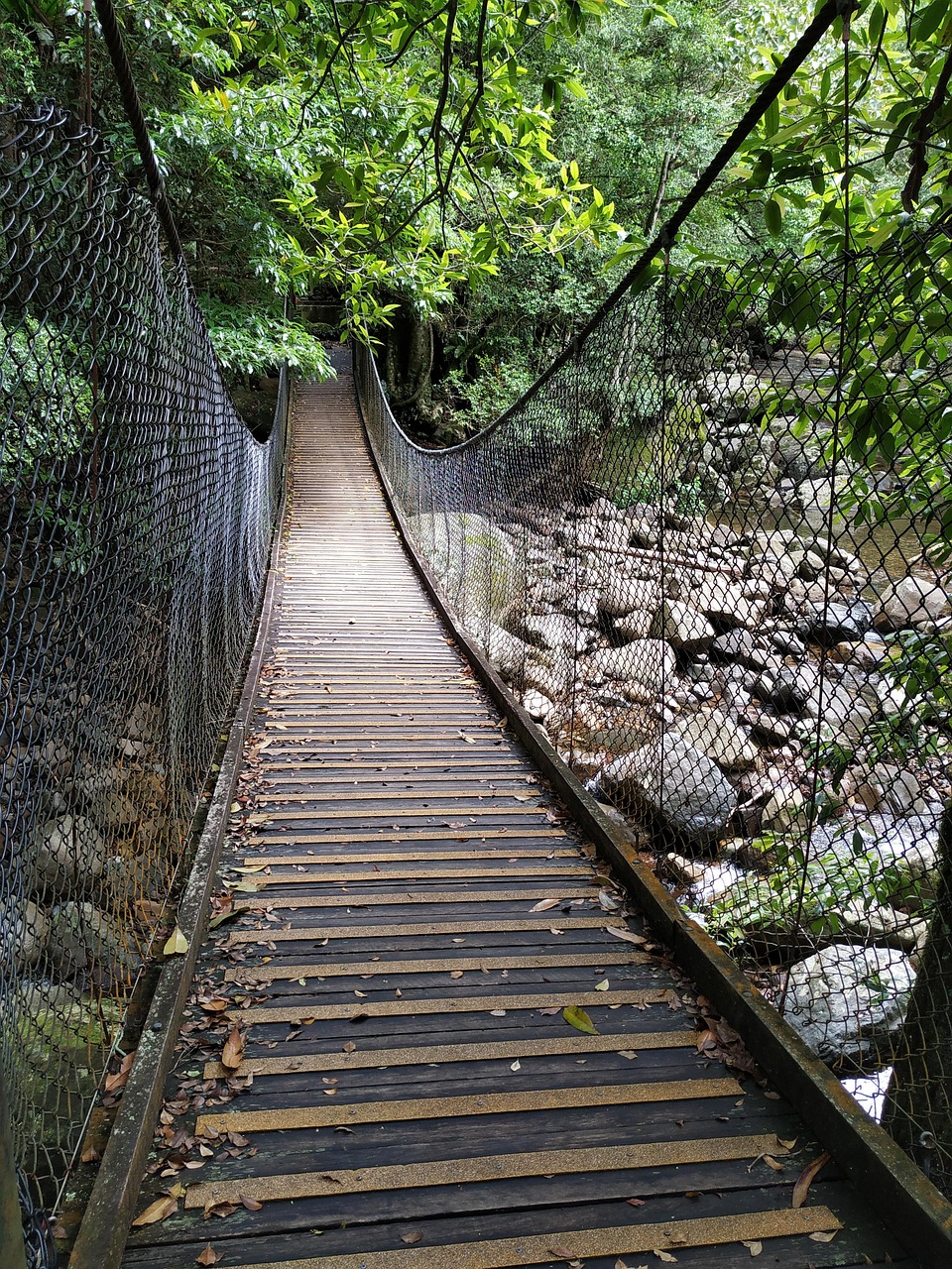 Ponte Suspensa Floresta - Foto gratuita no Pixabay - Pixabay