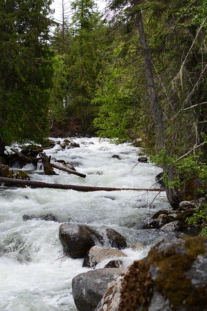 River Stream Creek - Free photo on Pixabay - Pixabay River Stream Creek - Free photo on Pixabay - Pixabay