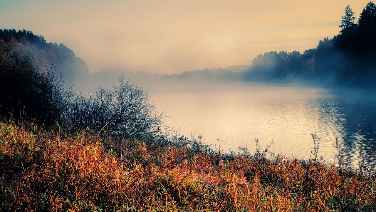 8,000+ Free Mist & Nature Images - Pixabay