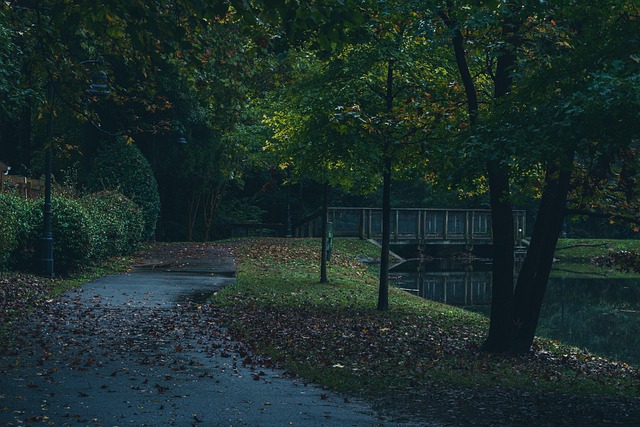 Wald Park Herbst - Kostenloses Foto auf Pixabay - Pixabay