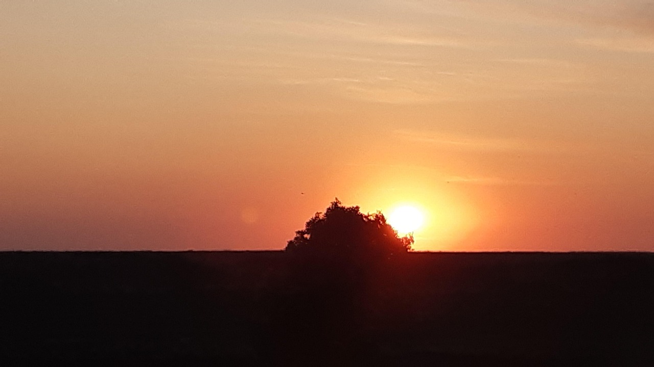 Deich Sonnenuntergang Nordsee - Kostenloses Foto auf Pixabay