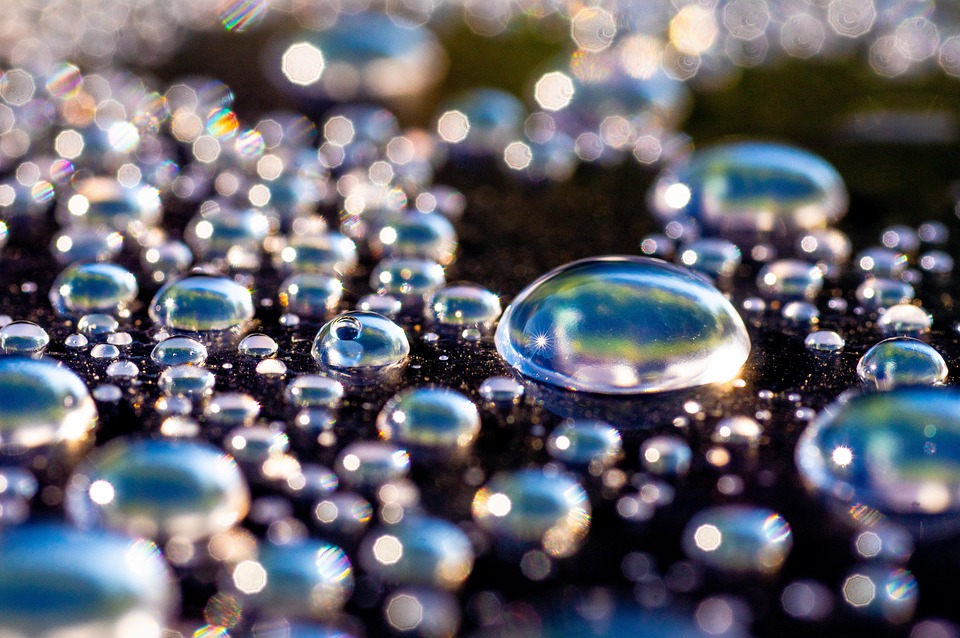 Droplets Water Globules - Free photo on Pixabay - Pixabay