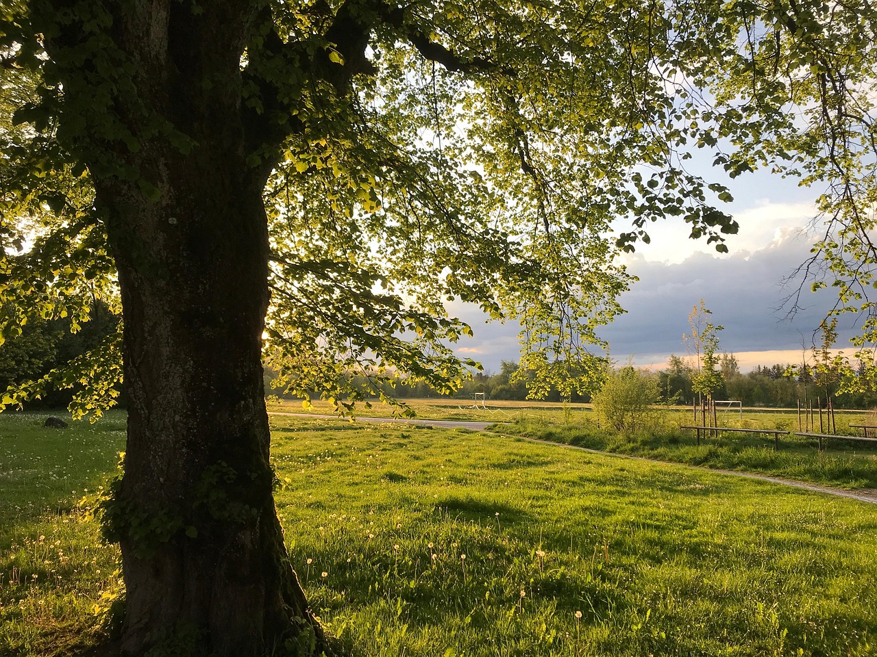 Seara De Vara Peisaj - Fotografie gratuită pe Pixabay - Pixabay
