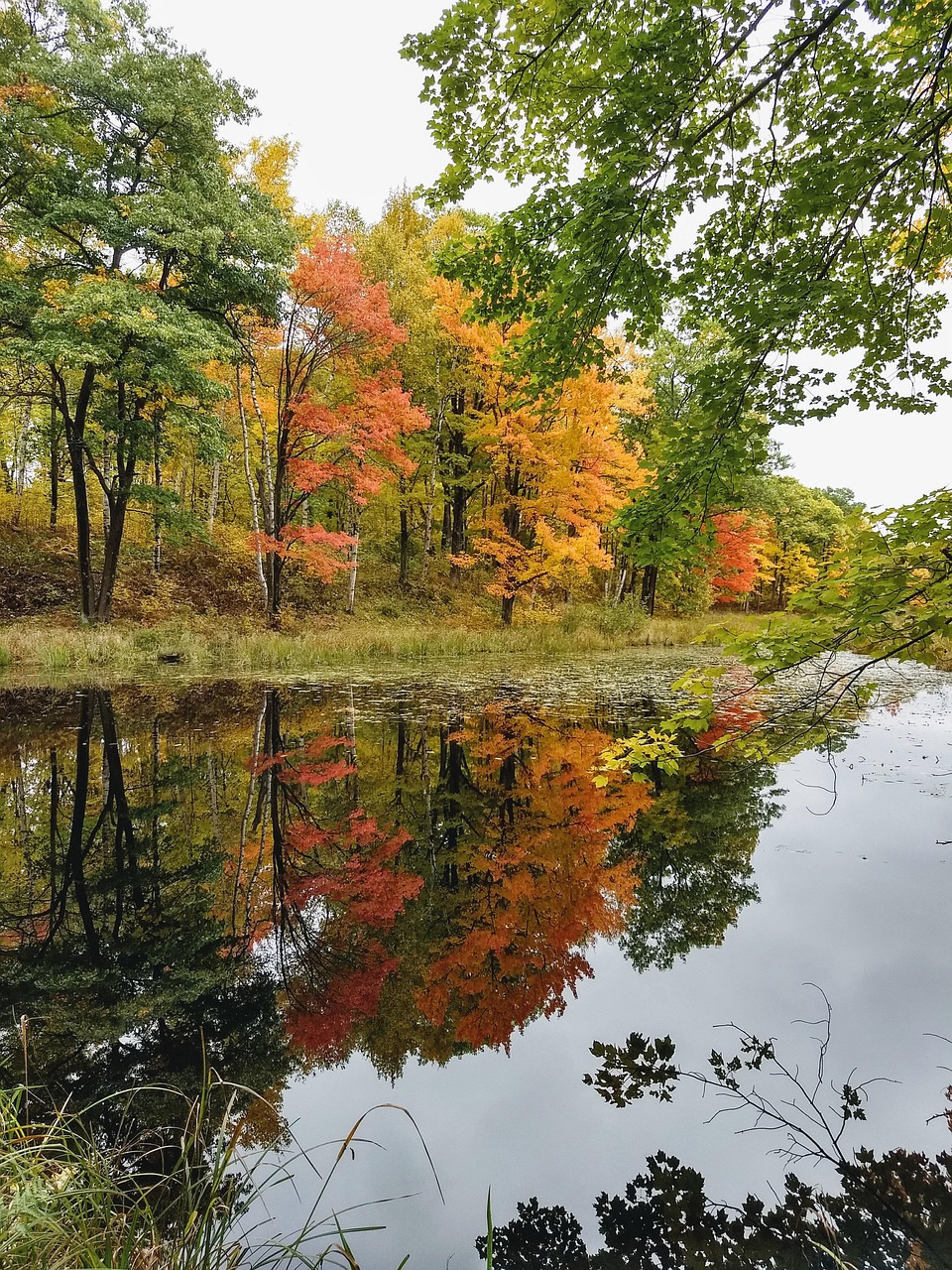 Des Arbres Automne Lac - Photo gratuite sur Pixabay - Pixabay