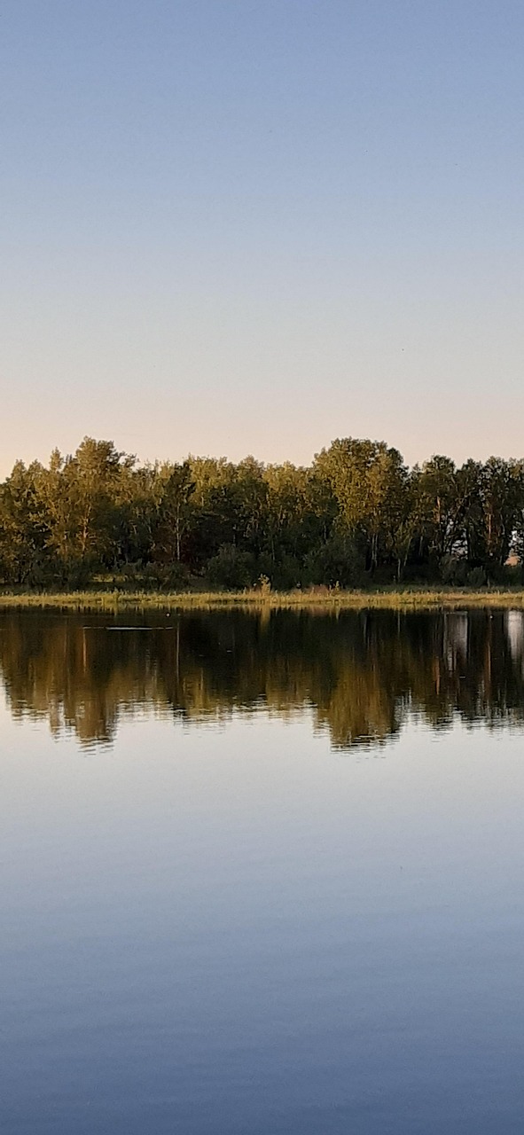 Naturaleza Paisaje Calma - Foto gratis en Pixabay - Pixabay