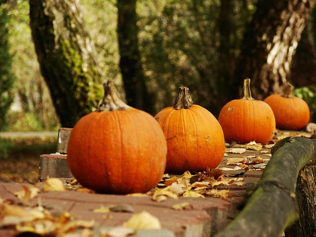 Citrouille La Automne - Photo gratuite sur Pixabay - Pixabay