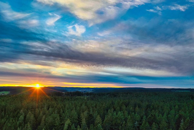 Apus De Soare Conifere Pădure - Fotografie gratuită pe Pixabay - Pixabay