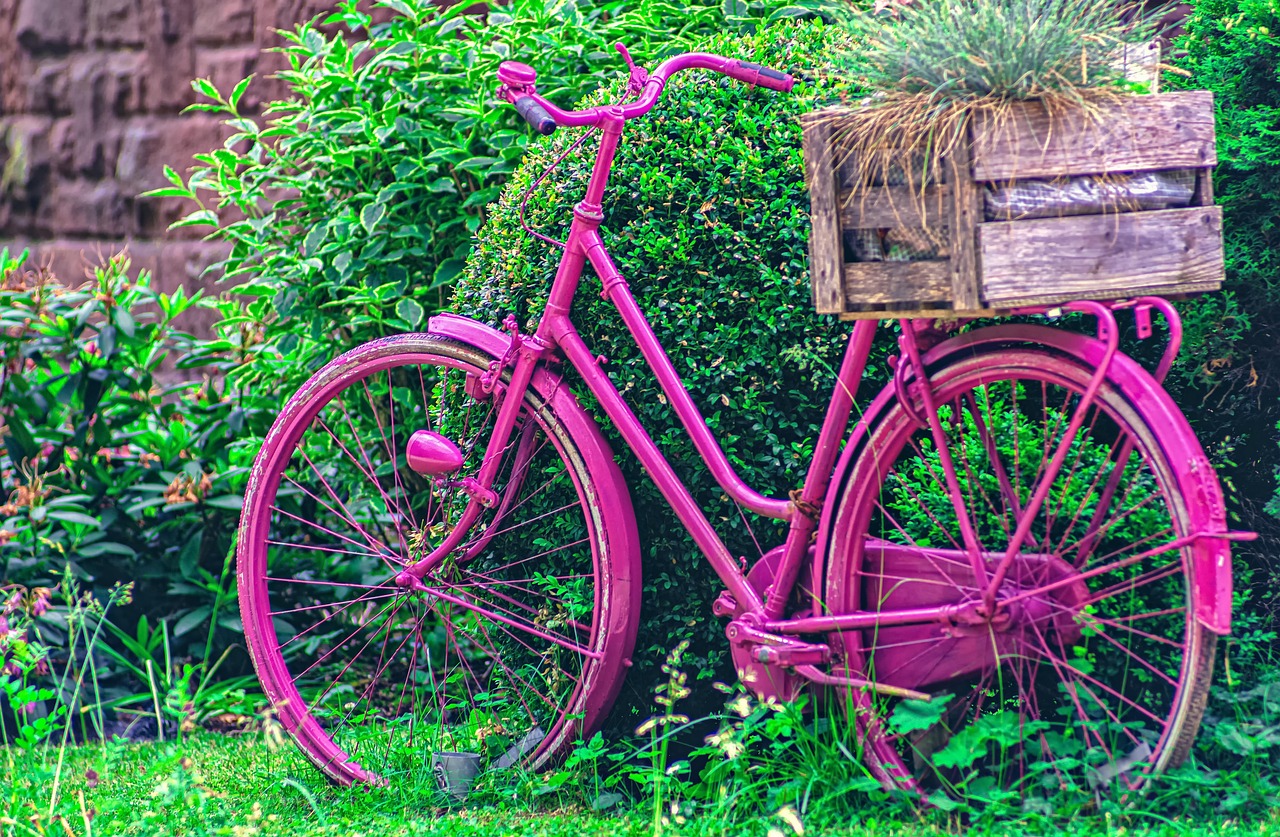Bicycle Purple Transport Bike - Free photo on Pixabay - Pixabay