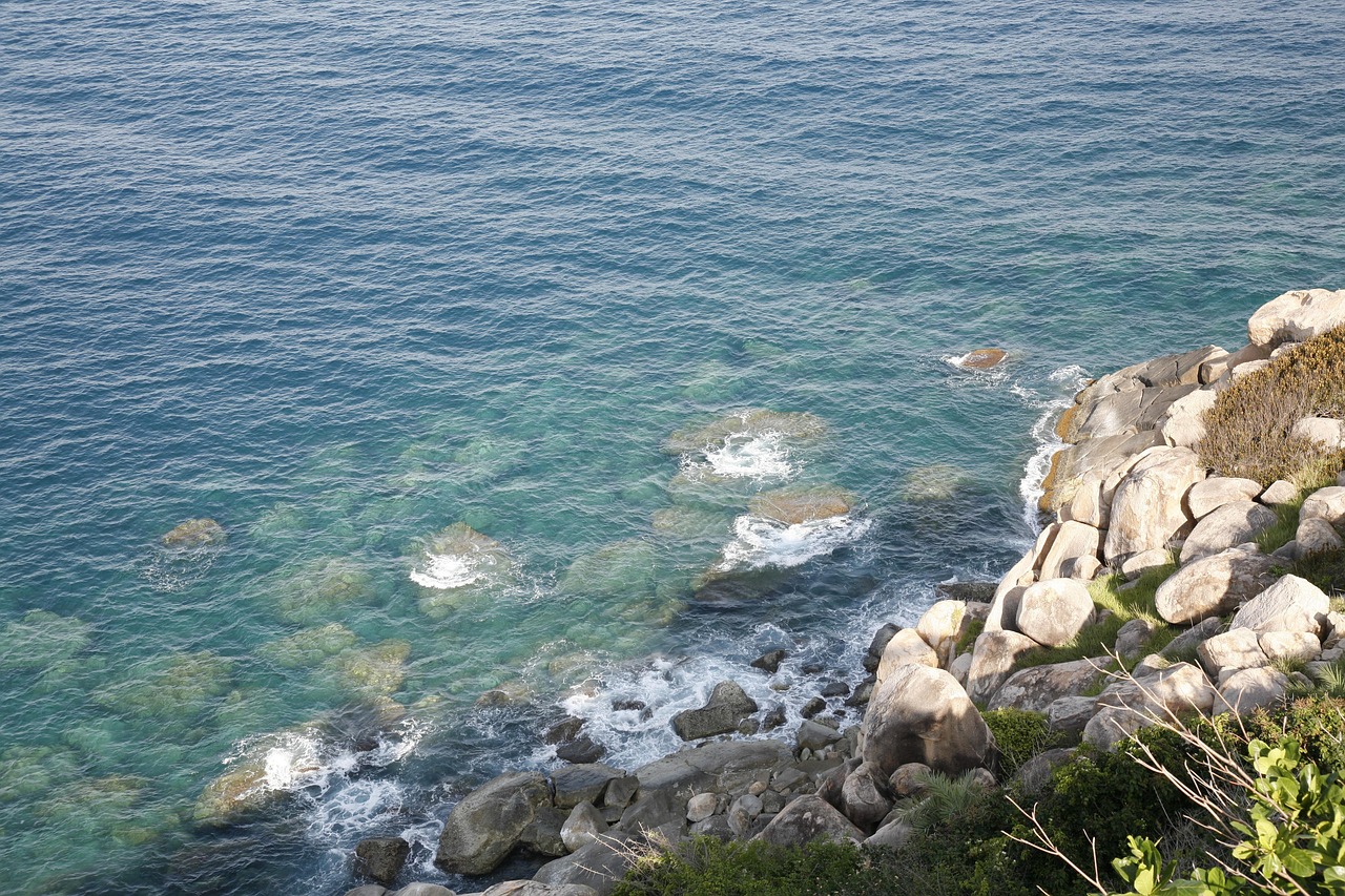 Sea Binh Hung Orange - Free photo on Pixabay - Pixabay