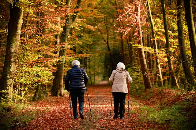 70,000+ Free Elderly People & Elderly Images - Pixabay