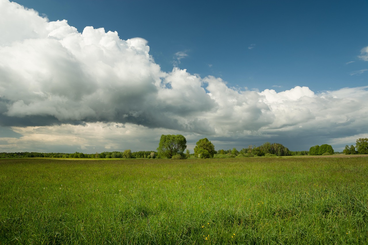 Pasture Prairie Field - Free photo on Pixabay - Pixabay