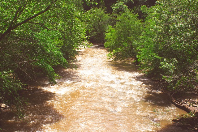 Arroyo Que Fluye Molino - Foto gratis en Pixabay - Pixabay
