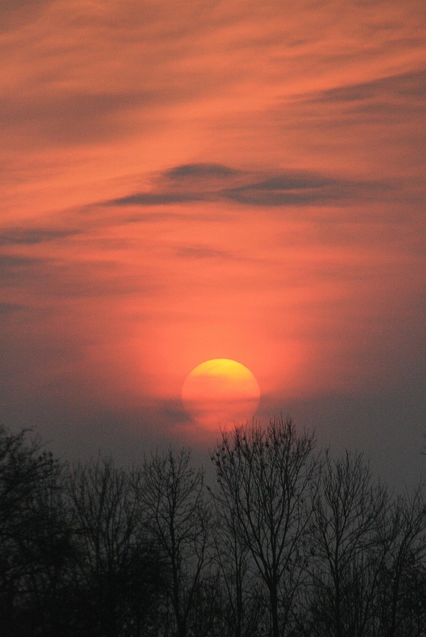 Sol De Invierno Árboles Atardecer - Foto gratis en Pixabay - Pixabay