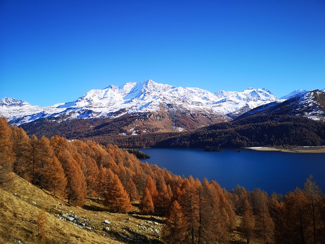 Lac Forêt Montagnes - Photo gratuite sur Pixabay