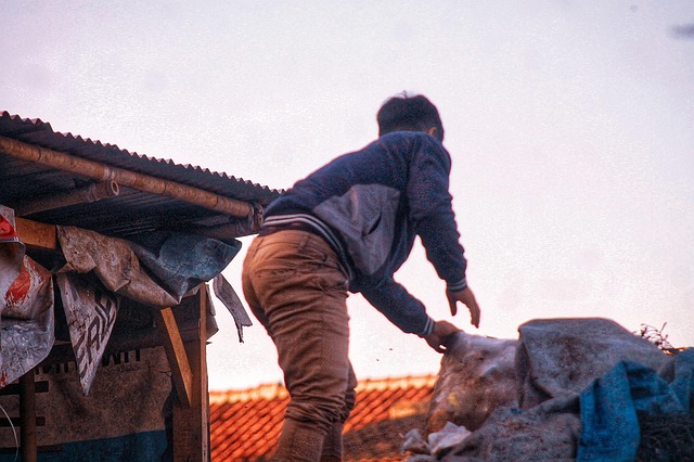 Homem Trabalho Trabalhando - Foto gratuita no Pixabay - Pixabay