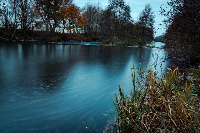 L'Eau Bord De La Rivière - Photo gratuite sur Pixabay - Pixabay