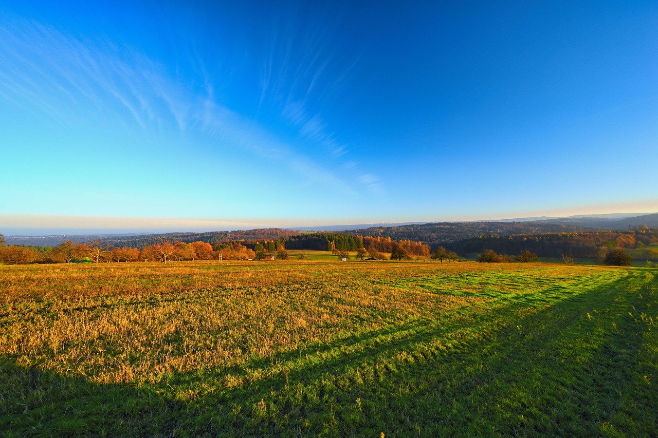 Bosque Negro Del Norte Panorama - Foto gratis en Pixabay - Pixabay
