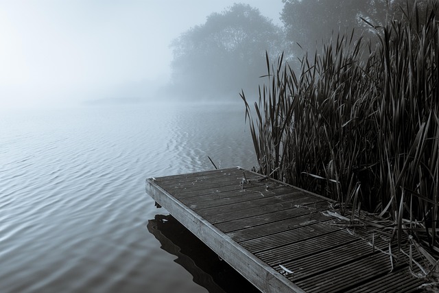 Weston Turville Neblig Reservoir - Kostenloses Foto auf Pixabay - Pixabay