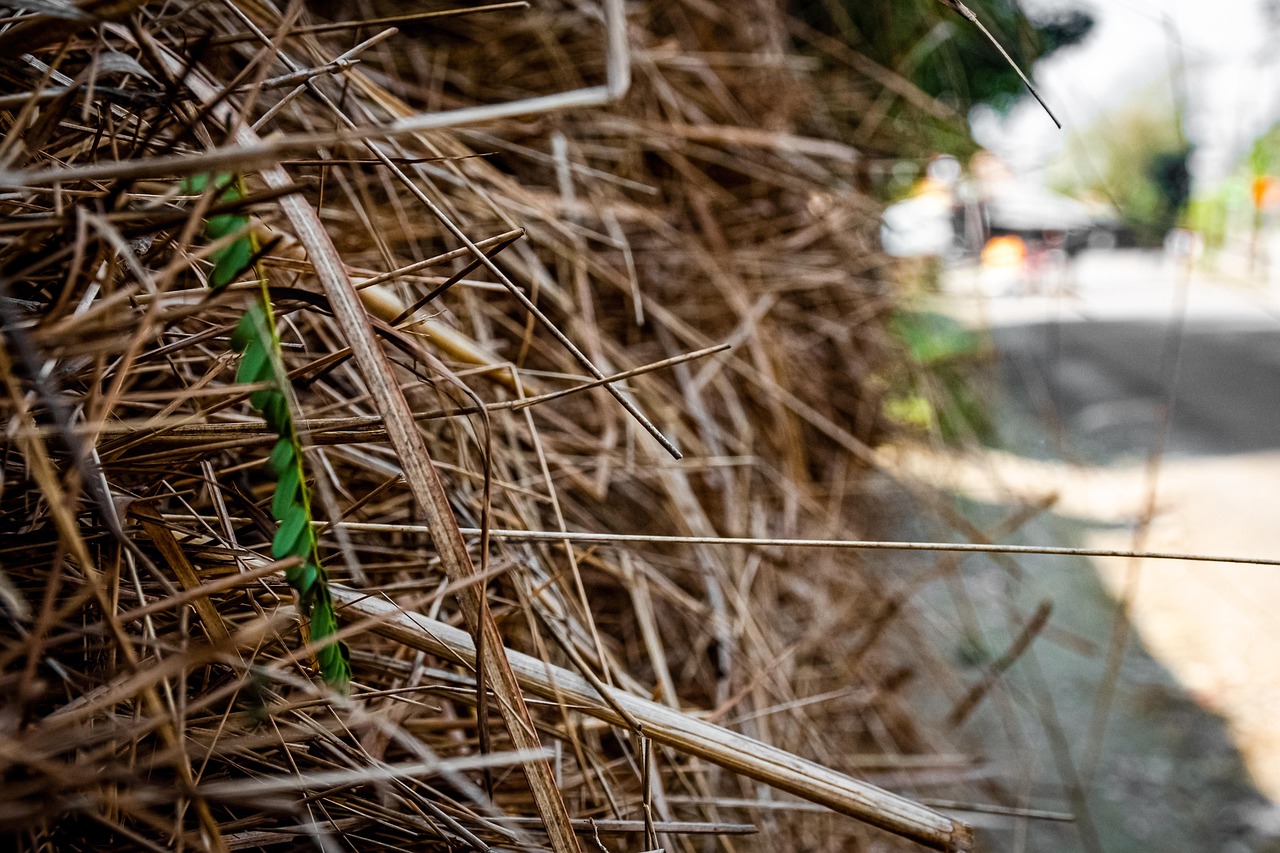 6,000+ Free Hay Stack & Hay Photos - Pixabay