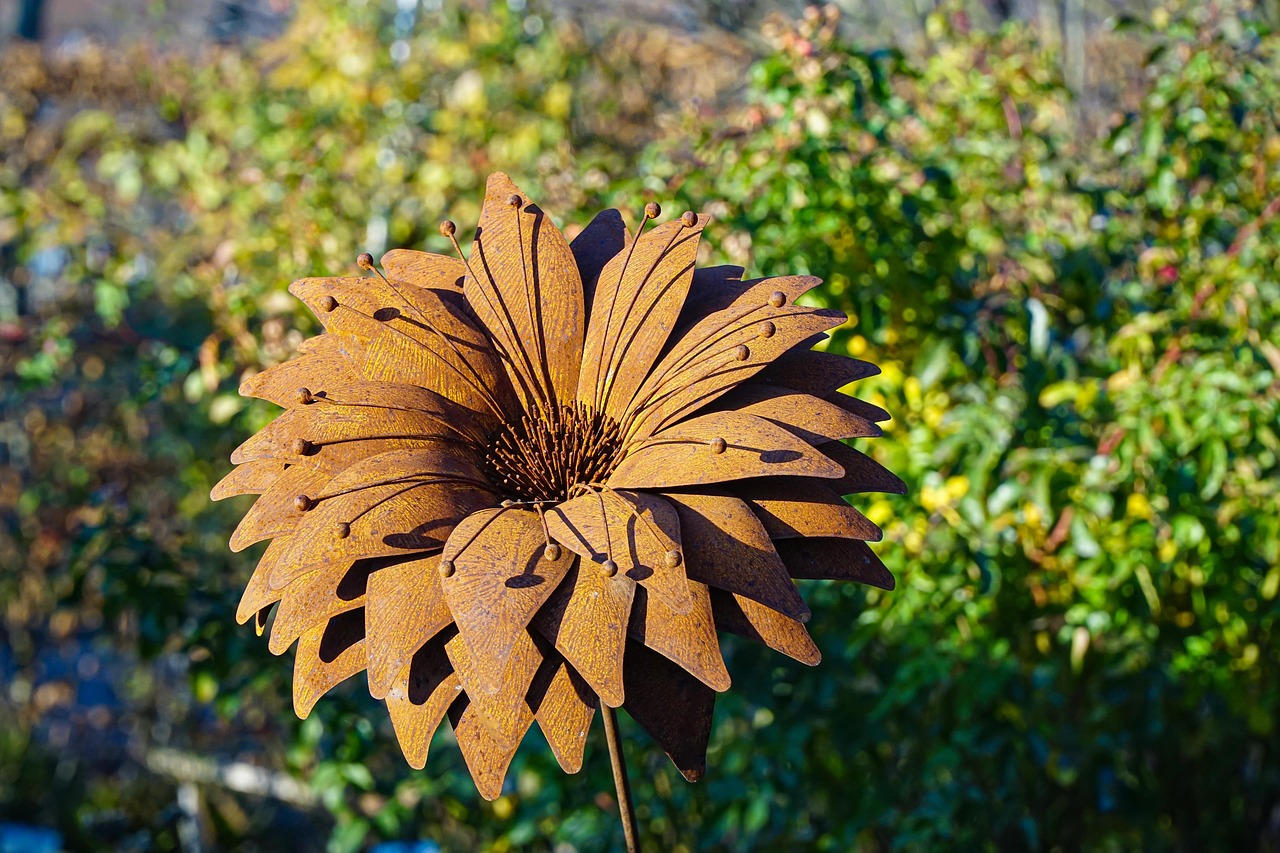 Flower Iron Rust - Free photo on Pixabay - Pixabay