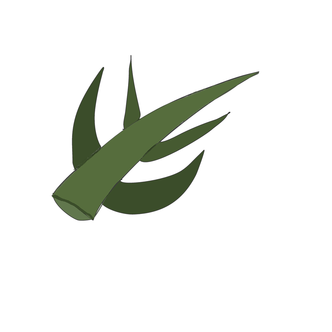 Aloe Vera Kosmetik Cremes Kostenloses Bild Auf Pixabay Pixabay