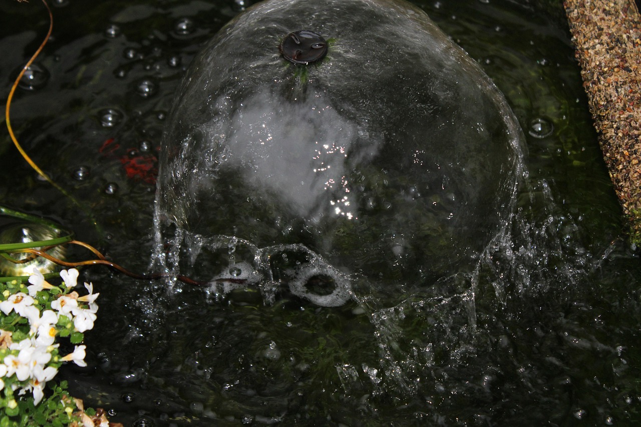 Water Springing - Free photo on Pixabay - Pixabay