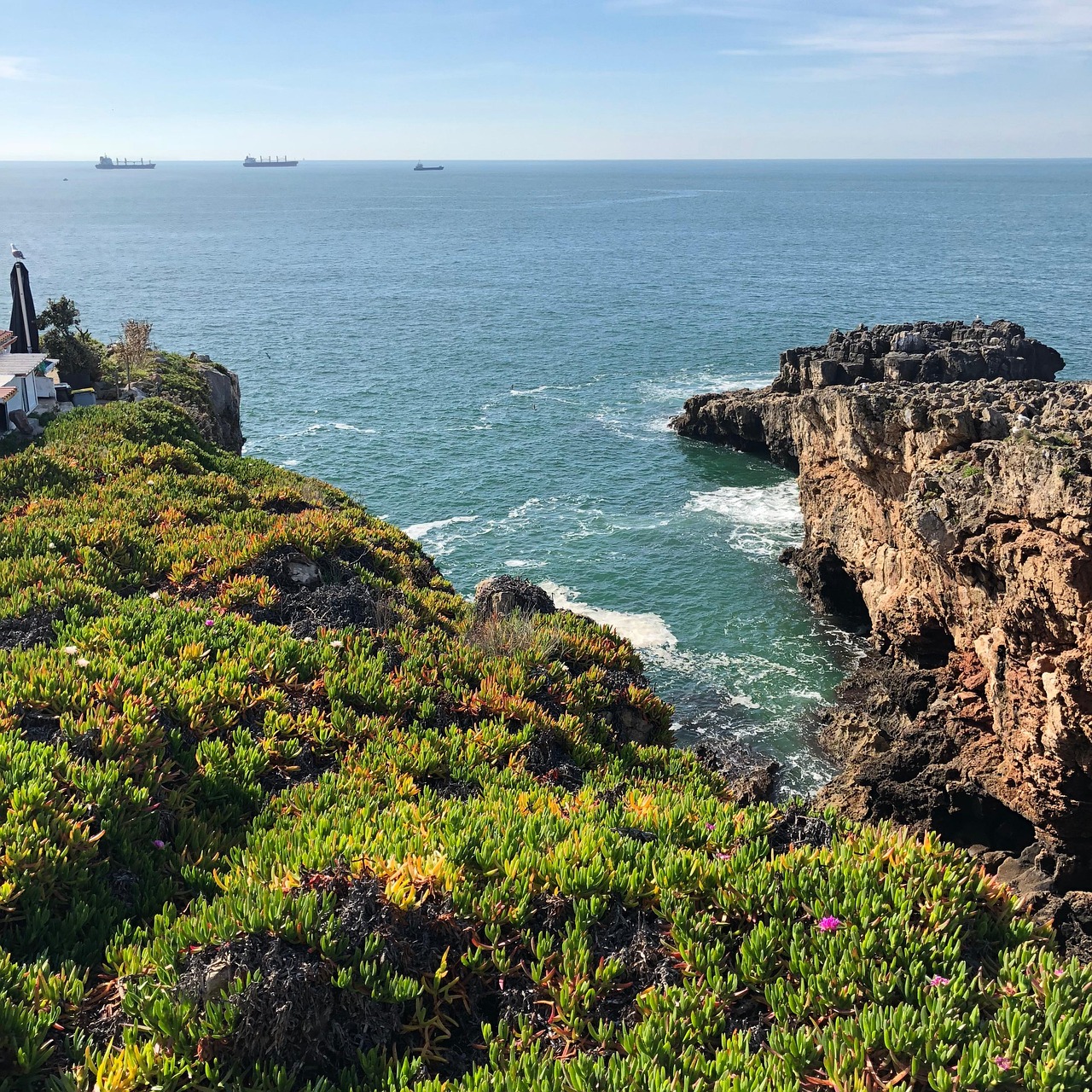 Portugal Ocean Cliff - Free photo on Pixabay - Pixabay