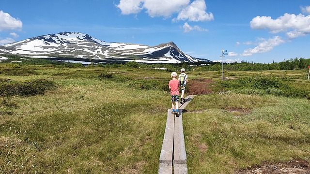 Swedia Gunung Adalah - Foto gratis di Pixabay