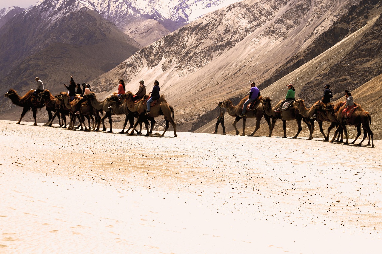 100+ Free Manali & Himachal Pradesh Images - Pixabay