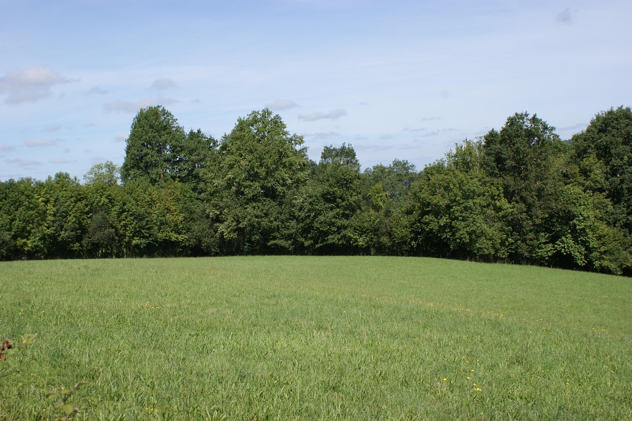 Natur Prärie Landschaft - Kostenloses Foto auf Pixabay - Pixabay