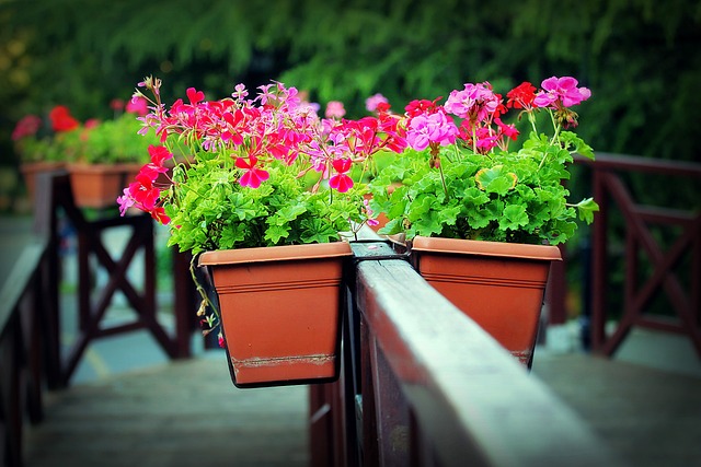 Flowers Pot Railing - Free photo on Pixabay - Pixabay