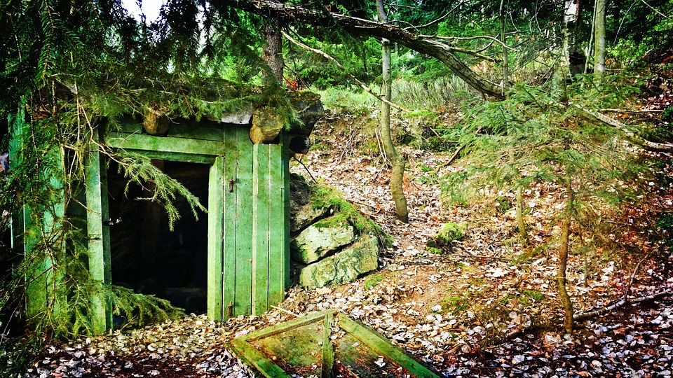 Cabane Dans Les Bois Forêt - Photo gratuite sur Pixabay - Pixabay