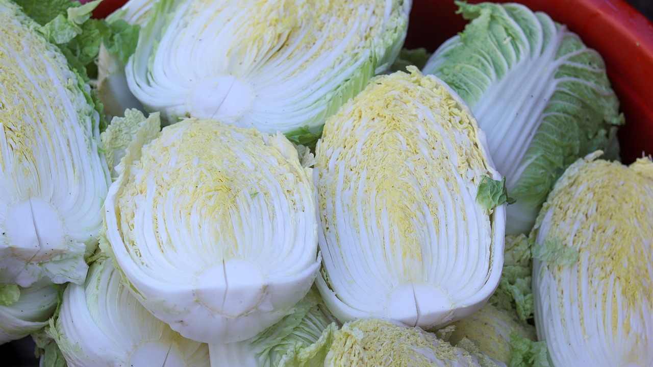 Korea Food Kimchi - Free photo on Pixabay