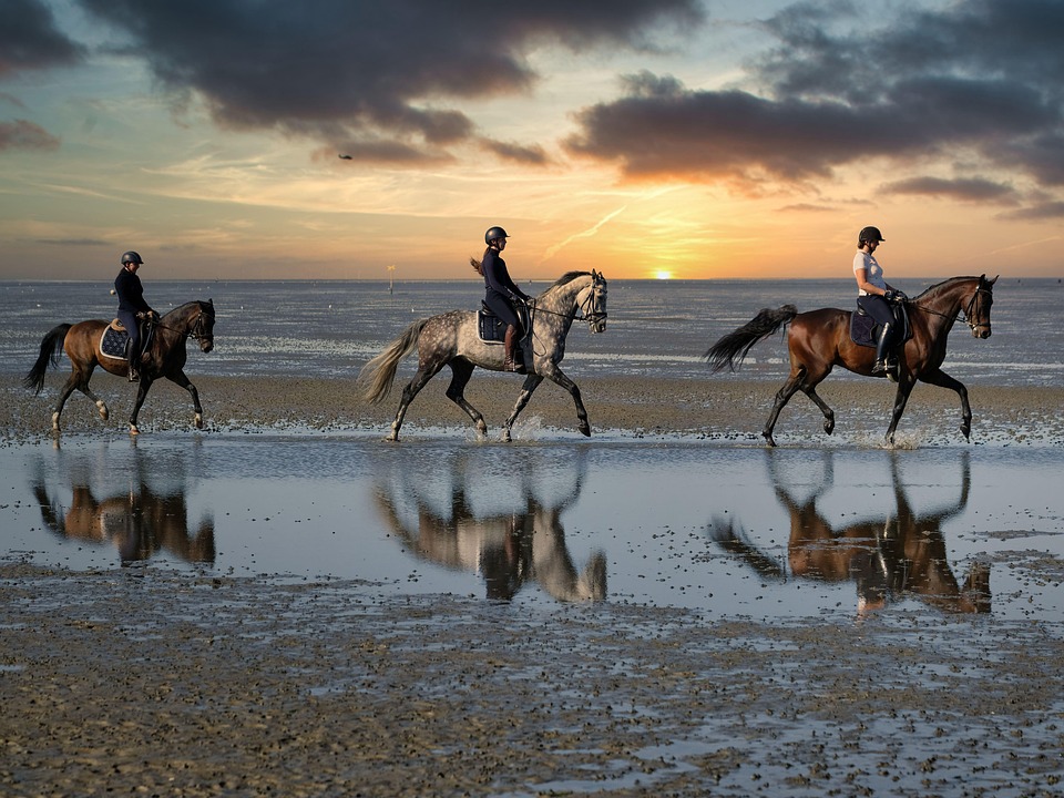 Reiten Strand Sonnenuntergang - Kostenloses Foto auf Pixabay