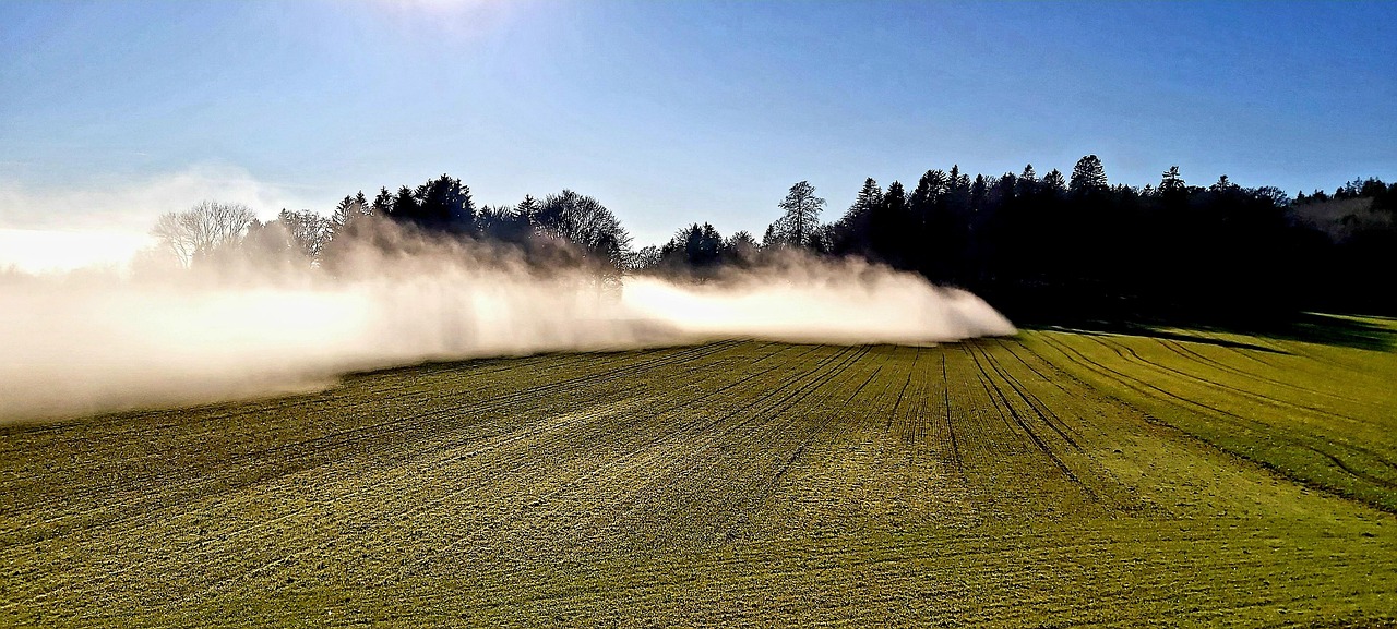 Fog Field Trees - Free photo on Pixabay