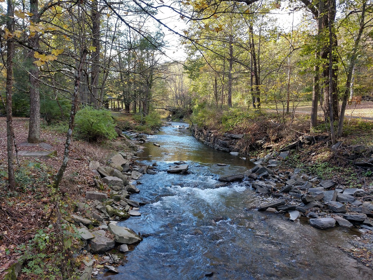 Robert H Parc D'État De Tremain - Photo gratuite sur Pixabay - Pixabay