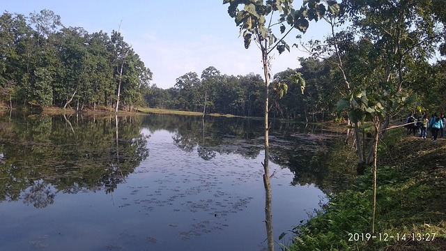 Lago Bis Hajari Nepal Chitwan - Foto gratuita no Pixabay - Pixabay