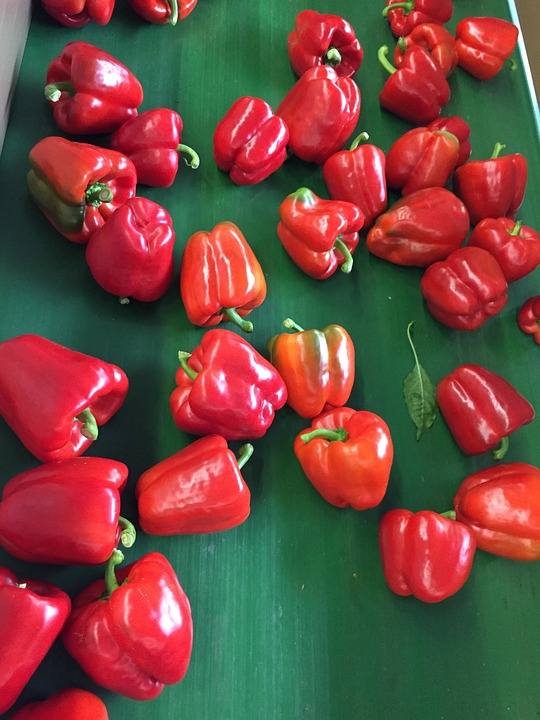 Paprika Pepperoni Rouge - Photo gratuite sur Pixabay