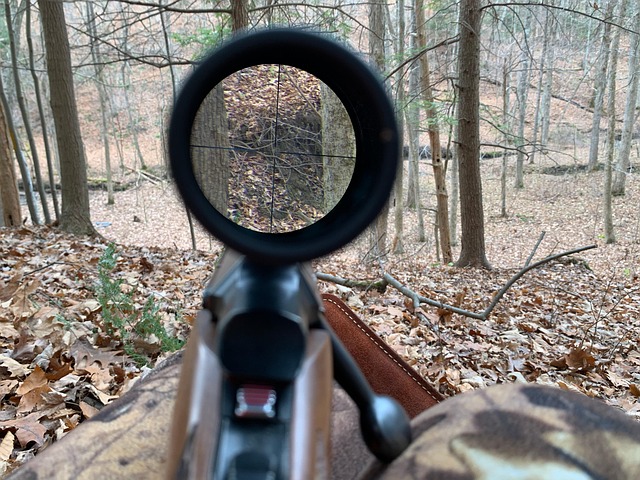 Hunting Scope Rifle - Free photo on Pixabay - Pixabay