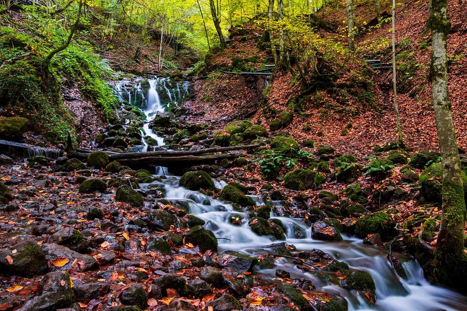 Kaskaden Fluss Wald Nationalpark - Kostenloses Foto auf Pixabay - Pixabay