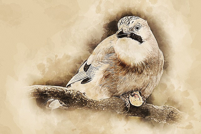 Download Bird, Jay, Garrulus Glandarius. Royalty-Free Stock ...