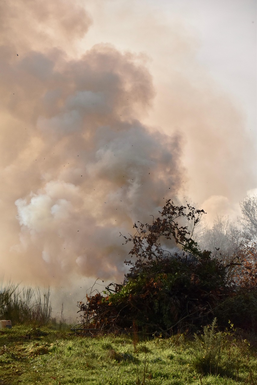 Smoke Fire Nature - Free photo on Pixabay - Pixabay