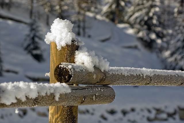10+ Free First Snowfall & Snowstorm Images - Pixabay