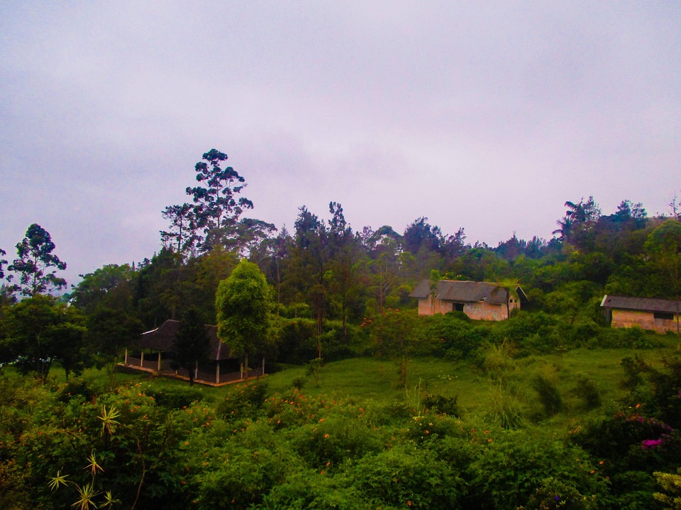 Westjava Hochland Gede Pangrango - Kostenloses Foto auf Pixabay - Pixabay