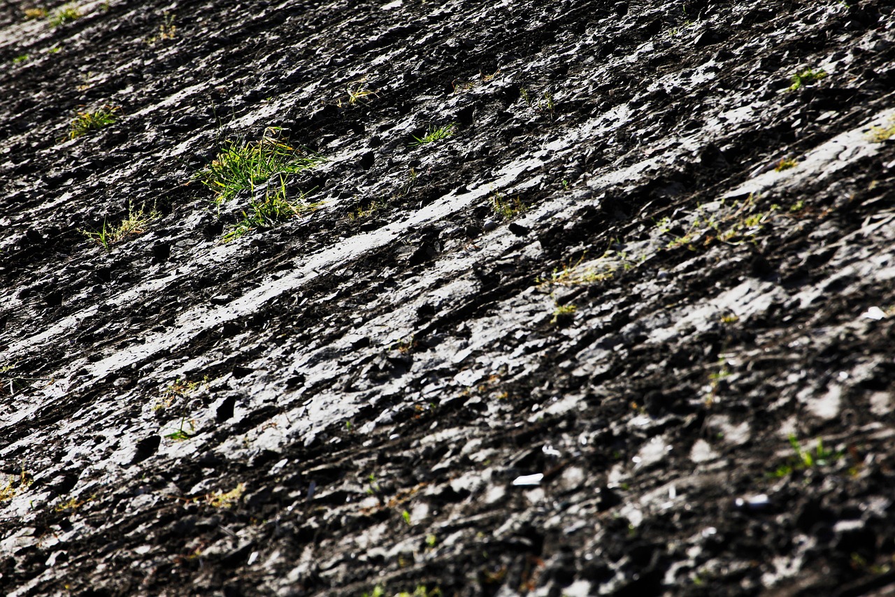 Terre Sol Agriculture - Photo gratuite sur Pixabay - Pixabay
