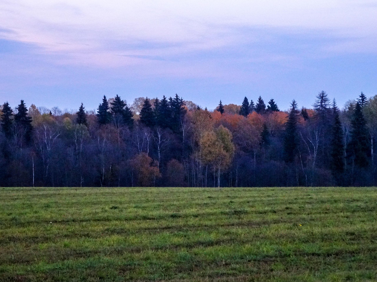 Russia Autumn Forest - Free photo on Pixabay