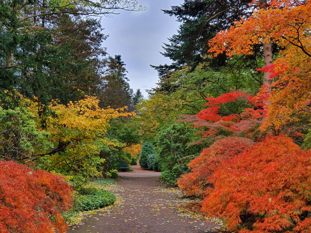 Park Fall Nature - Free photo on Pixabay - Pixabay