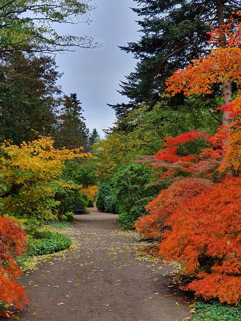 Parque Cair Natureza - Foto gratuita no Pixabay - Pixabay